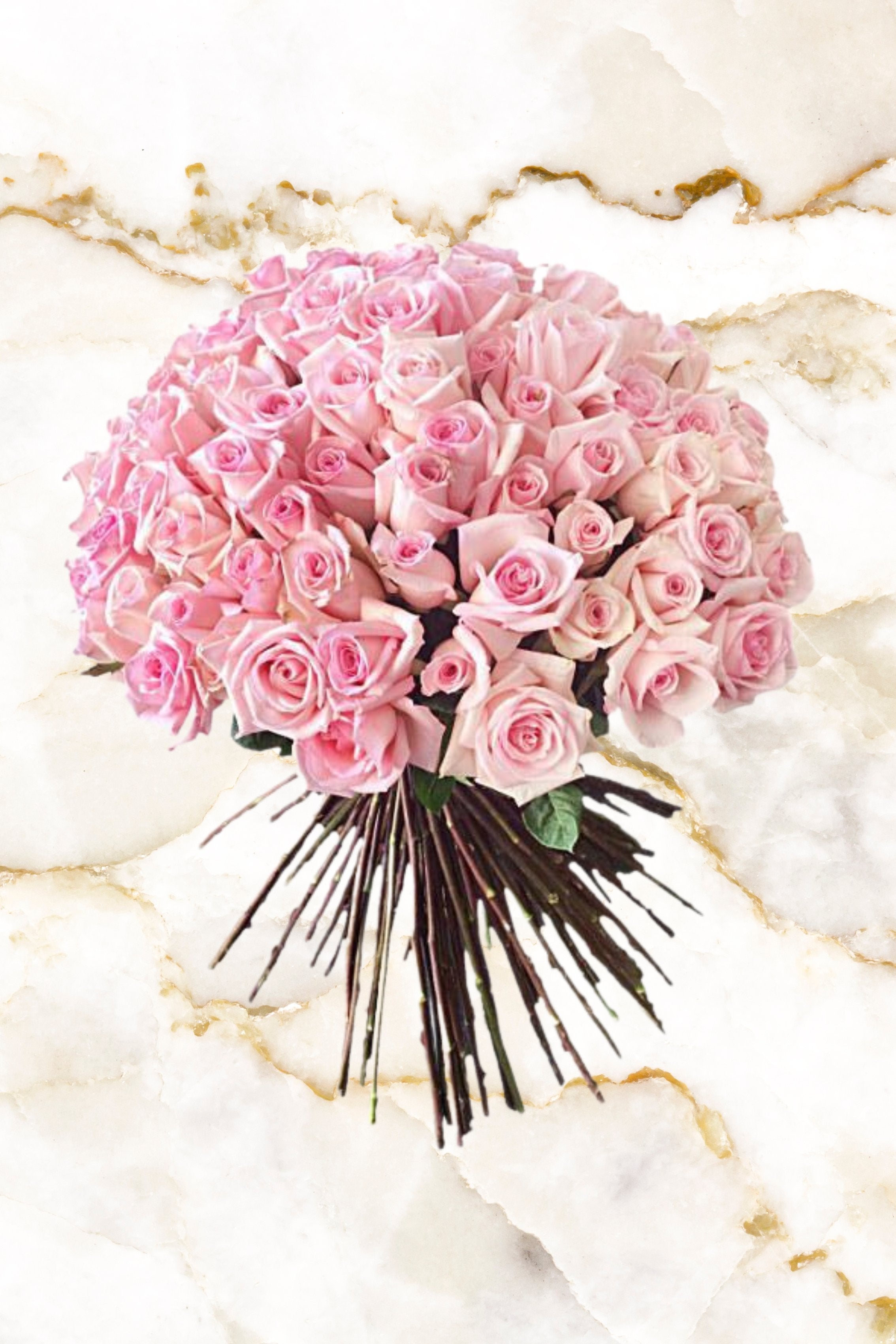 Natural Flowers | Fresh Premium Roses Directly from Ecuador
